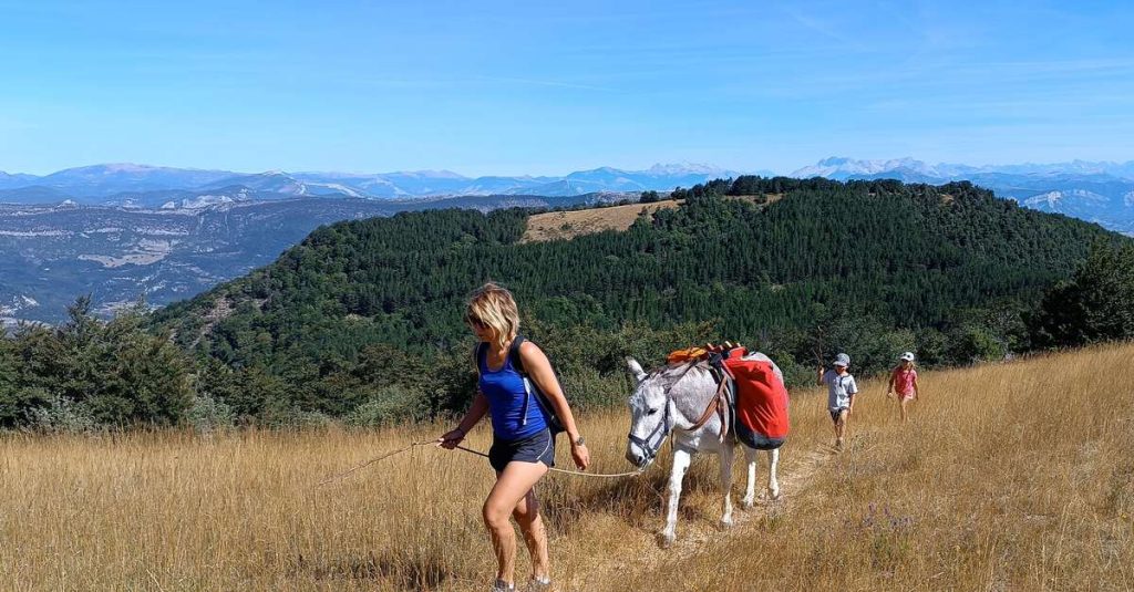 Trail to Timeline: Crafting Adventure Videos That Keep Viewers Walking ...